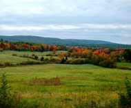 Amherst Massachusetts - Local guide to the Town