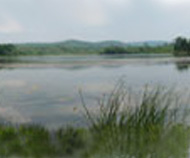 Monterey, MA - Local Guide to the Town