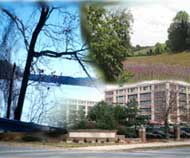 North Andover Massachusetts - Local Information Guide to the Town