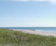 Truro Massachusetts - Information about the Cape Cod Town of Truro